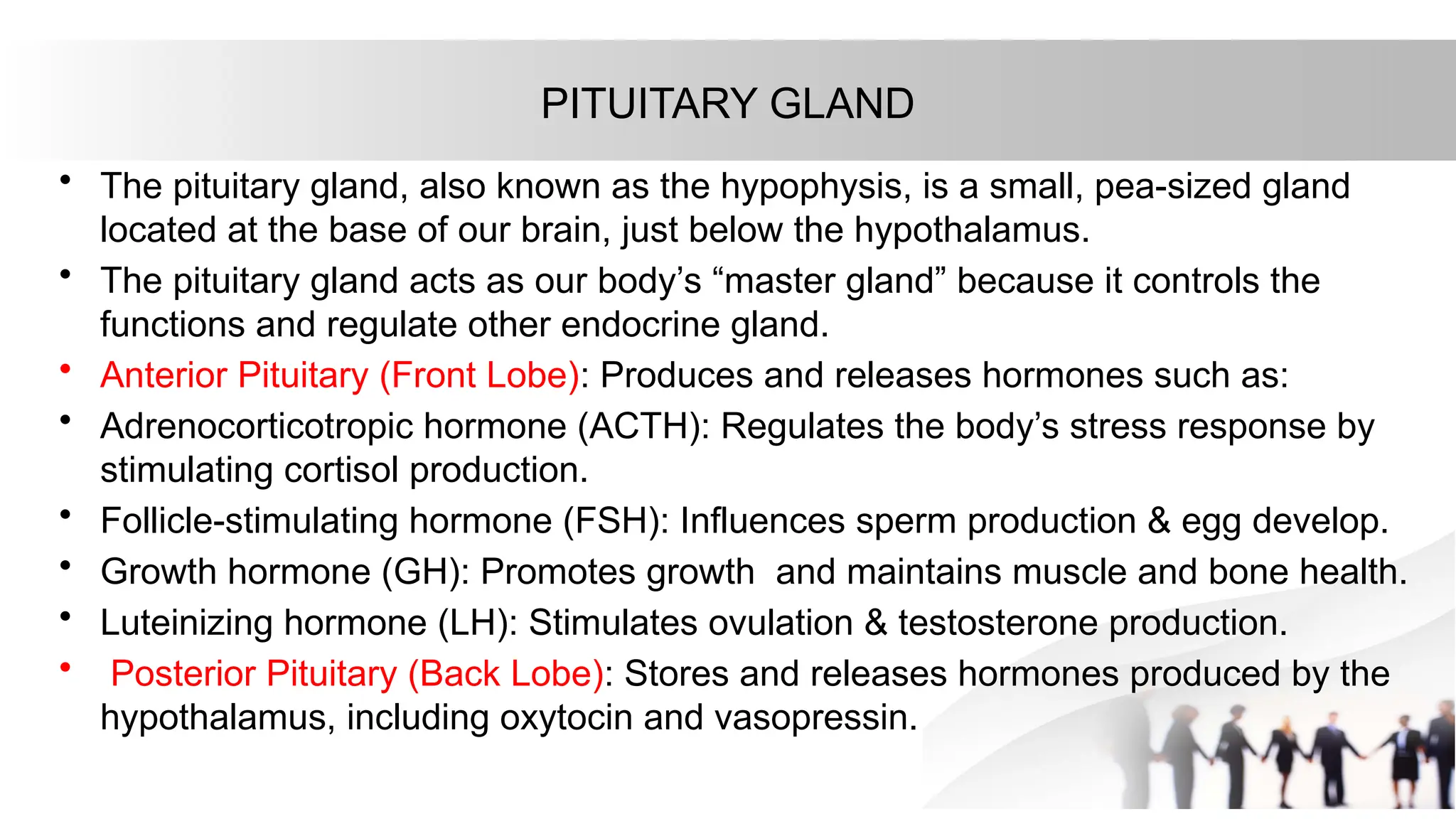 Presentation ON HYPOTHALAMIC PITUITARY THYROIDAL AXIS.pptx