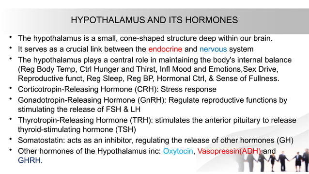 Presentation ON HYPOTHALAMIC PITUITARY THYROIDAL AXIS.pptx