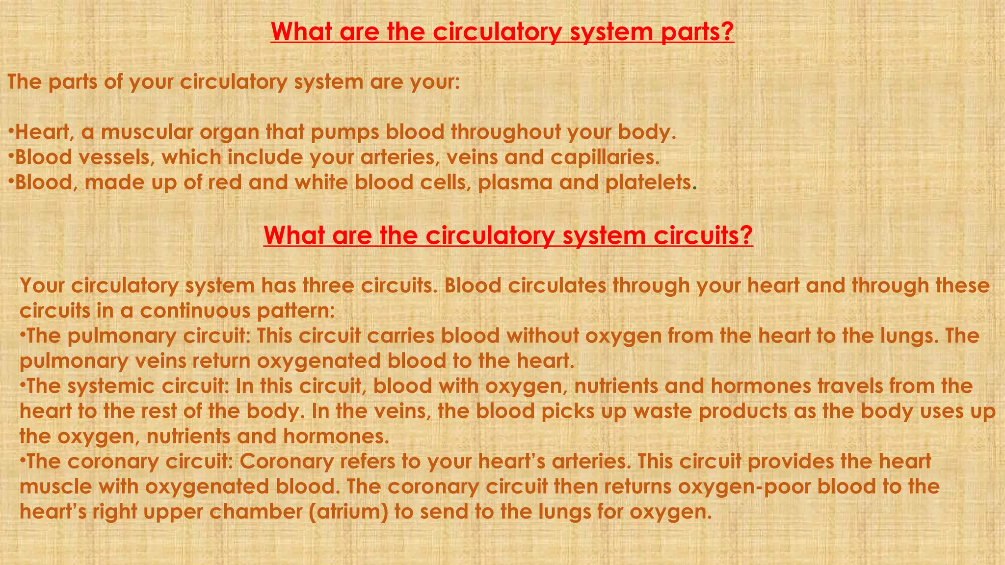 Circulation(The Internal Transport System) Group 8 pres.pptx