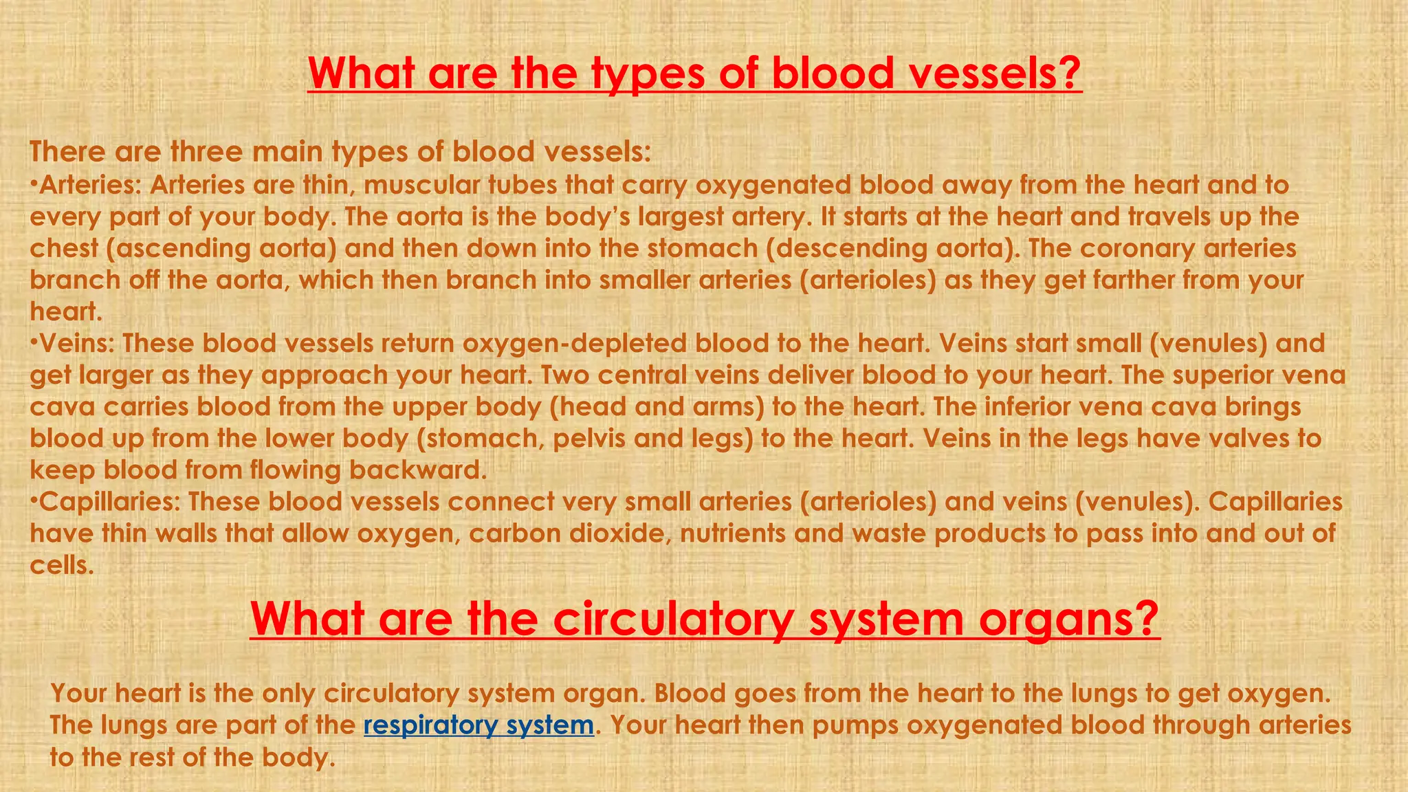 Circulation(The Internal Transport System) Group 8 pres.pptx