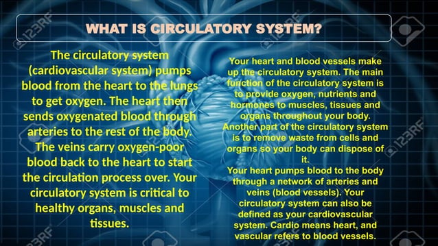 Circulation(The Internal Transport System) Group 8 pres.pptx