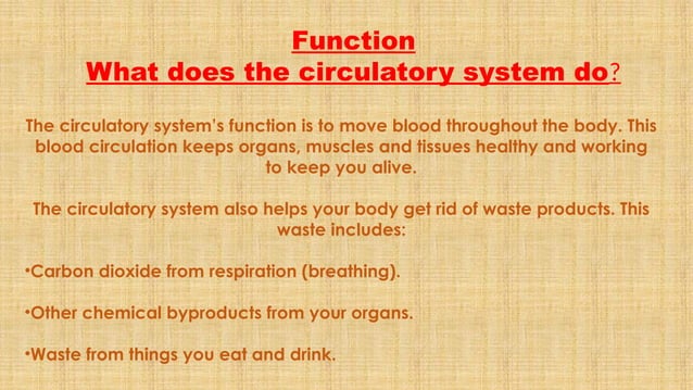 Circulation(The Internal Transport System) Group 8 pres.pptx