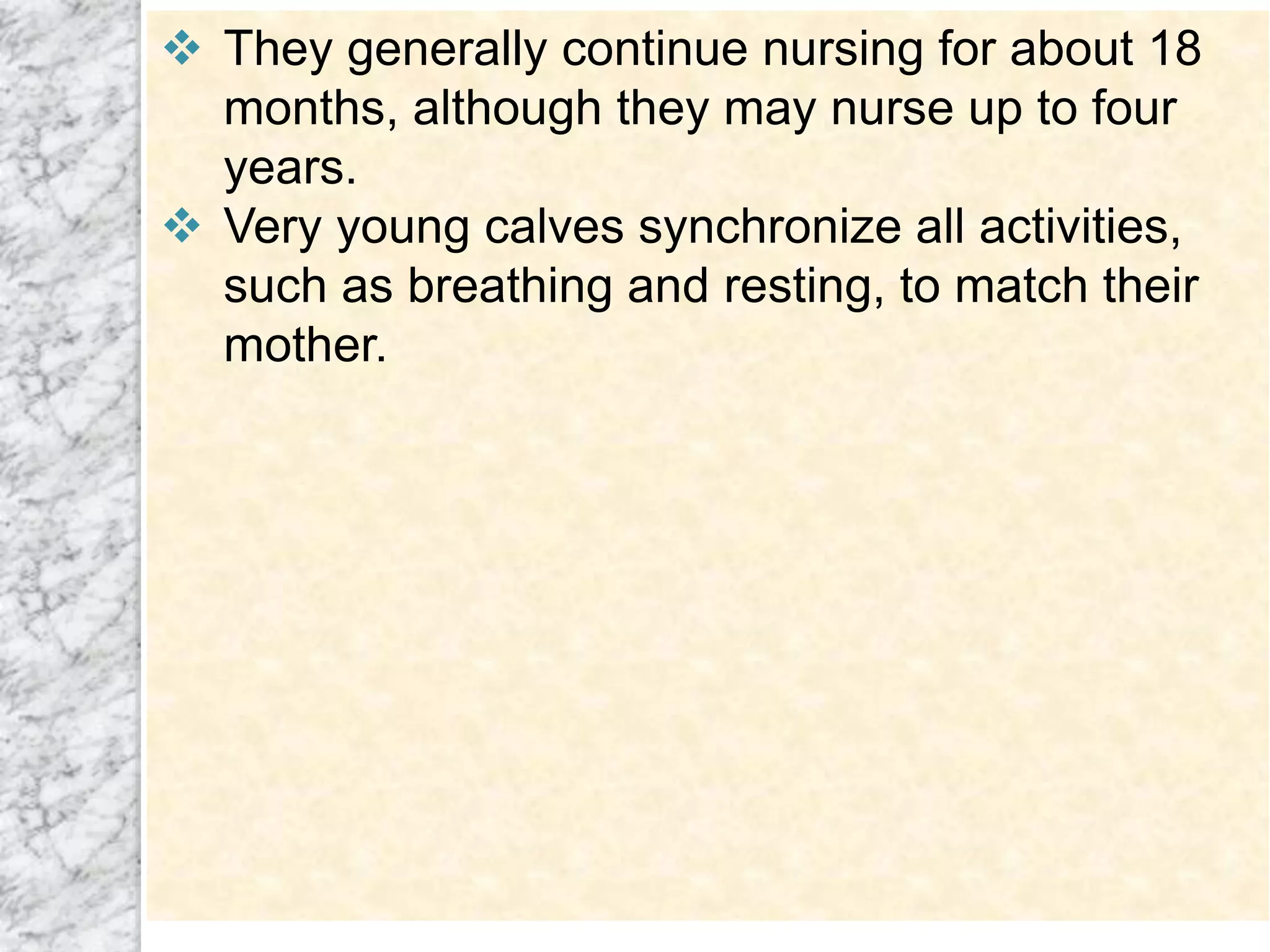 Breeding Biology and Parental Care of Mammals | PPT