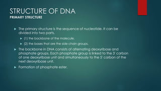 nucleic acid stucture and Dna | PPTX