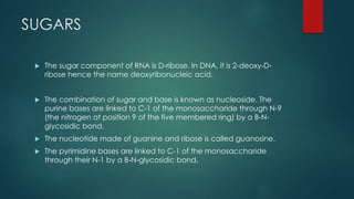 nucleic acid stucture and Dna | PPTX