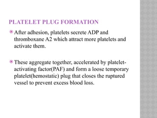 HEMATOCRIT PRESENTATION FROM GROUP 9.pptx