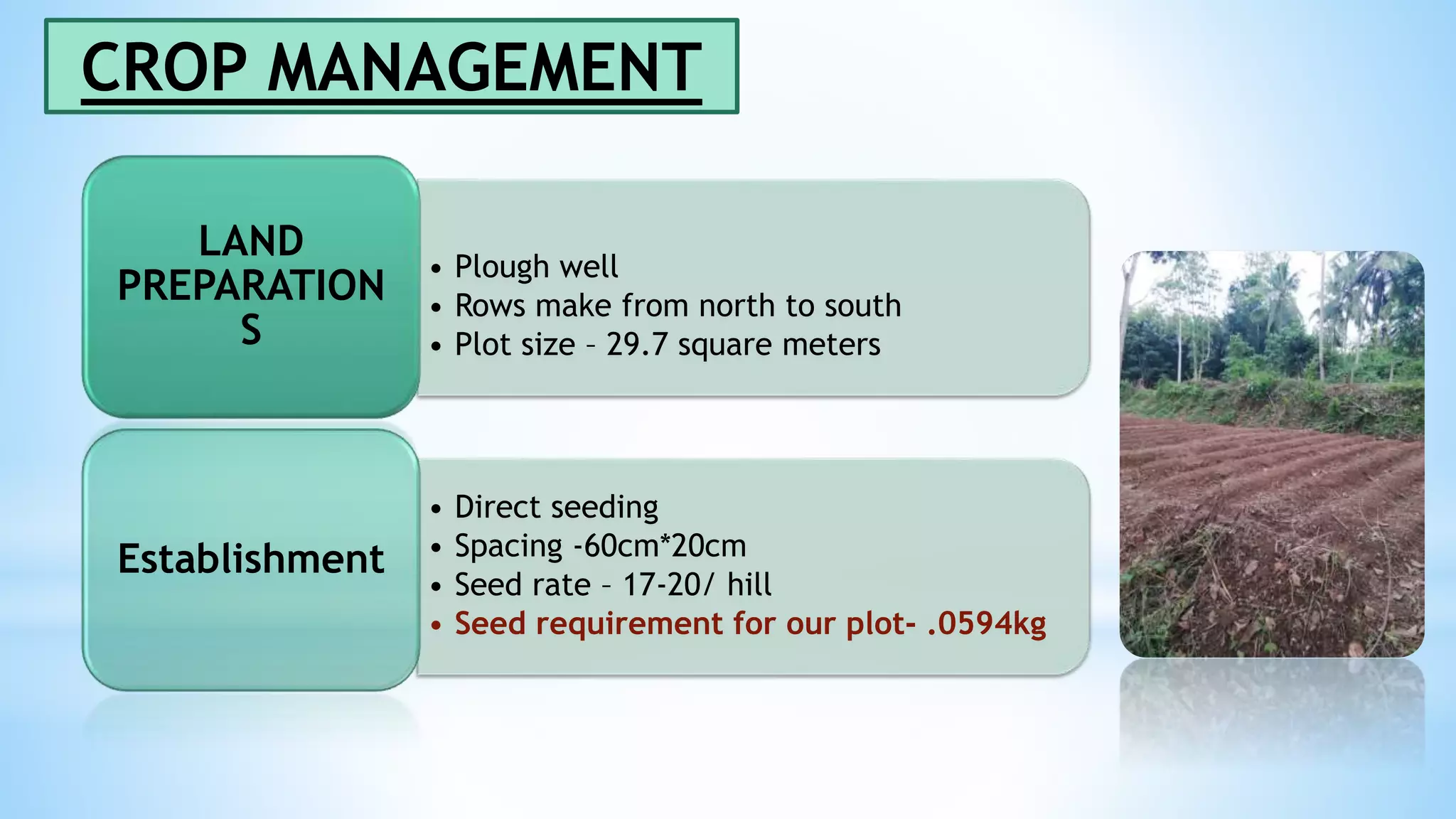 PRODUCTION TECHNOLOGIES OF FIELD CROPS AND VEGETABLES | PPT