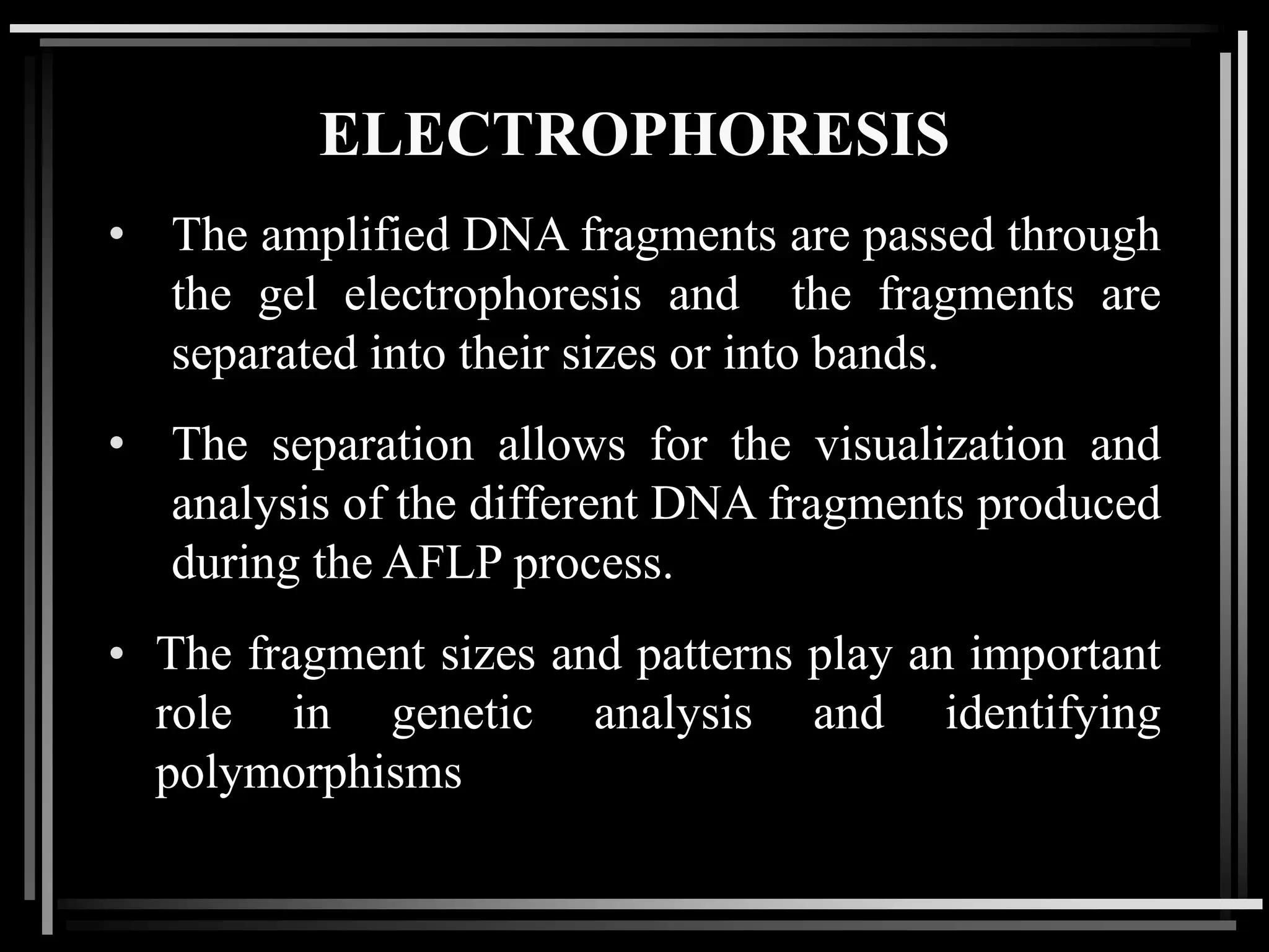 Group 9 Amplification fragment length polymorphisn-1.pptx