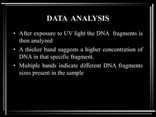 Group 9 Amplification fragment length polymorphisn-1.pptx
