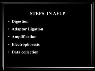 Group 9 Amplification fragment length polymorphisn-1.pptx