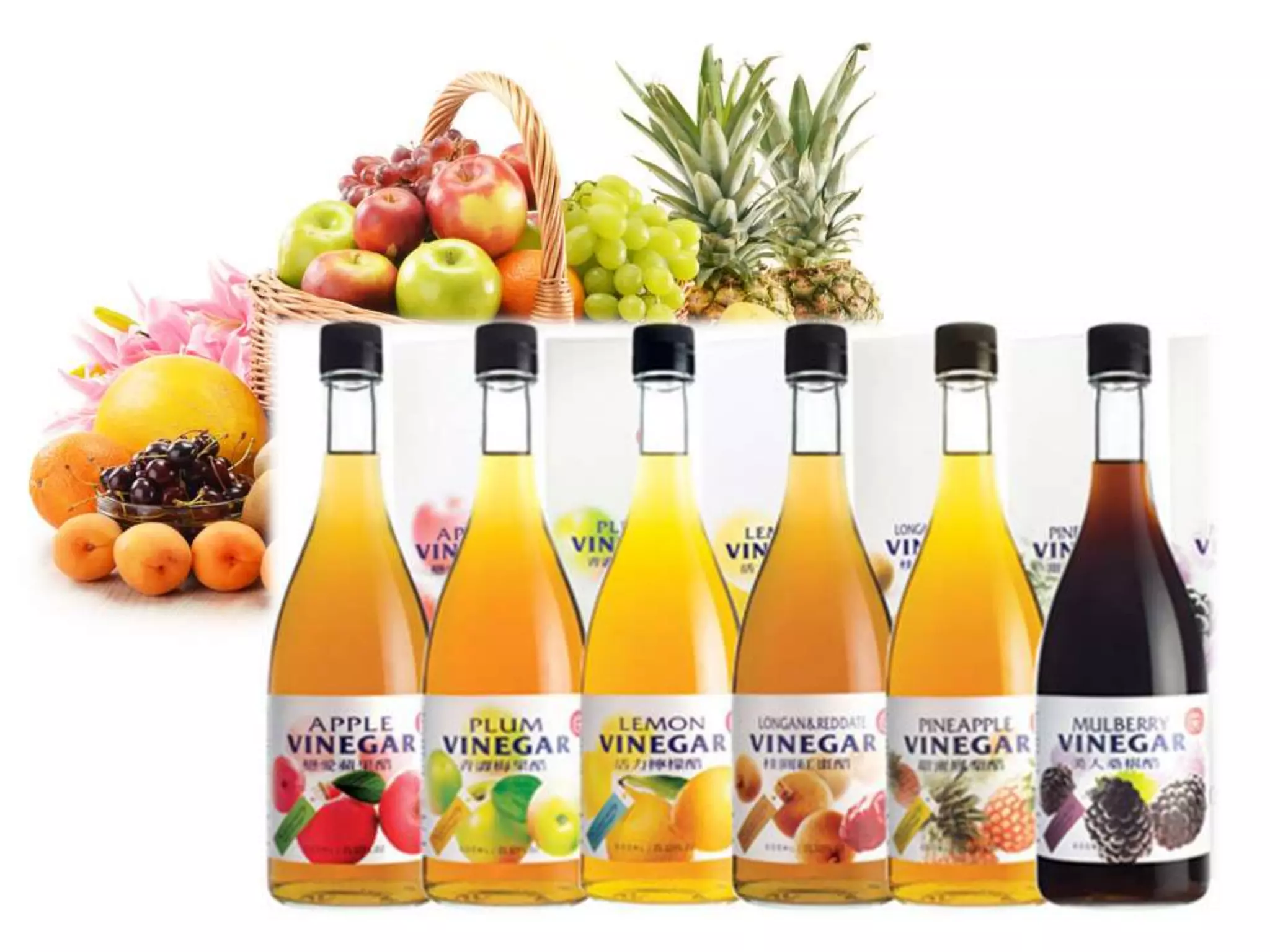 (Group9)fungus fermentation | PPTX