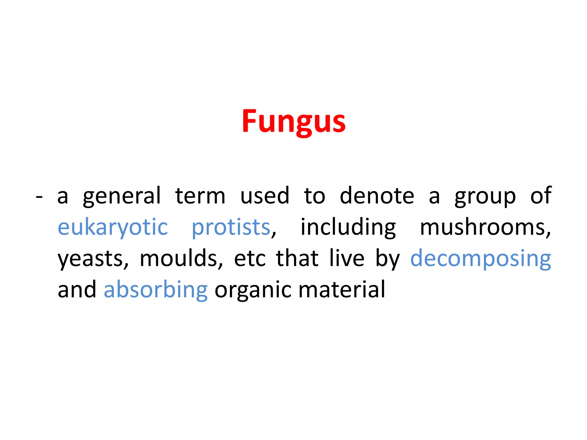 (Group9)fungus fermentation | PPTX