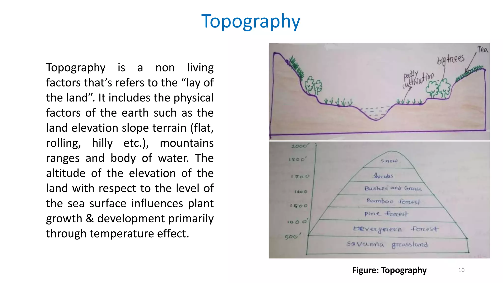 Environmental factors that affecting plant growth] | PPTX