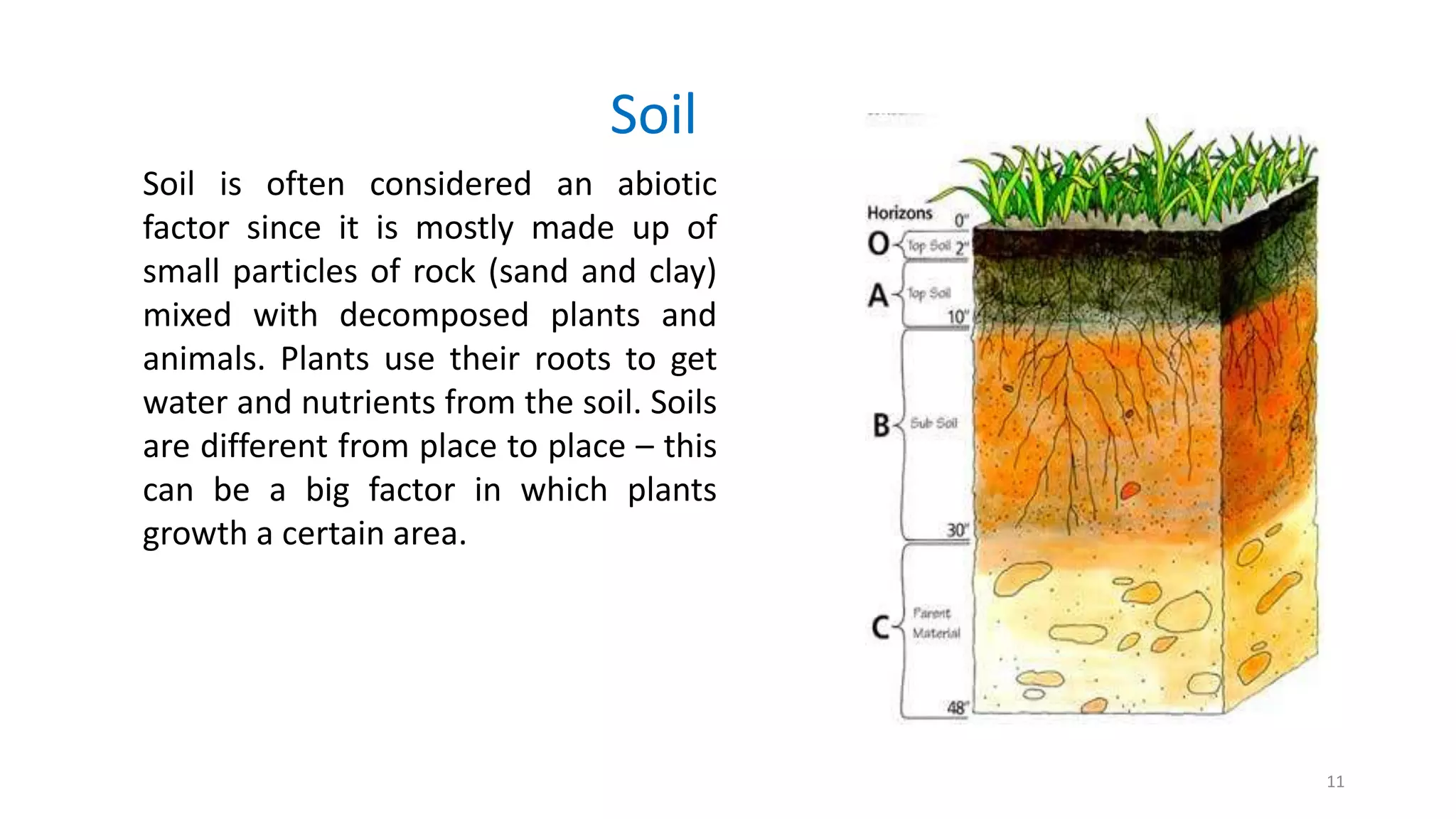 Environmental factors that affecting plant growth] | PPTX