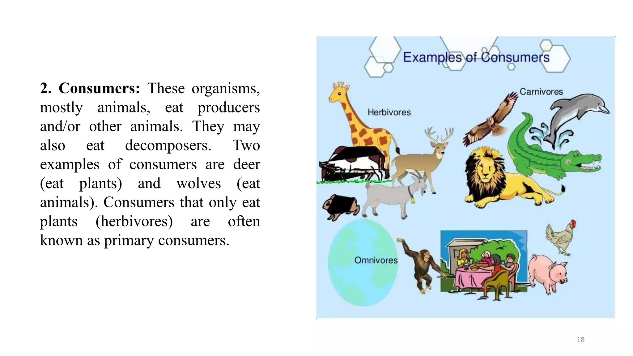 Environmental factors that affecting plant growth] | PPTX