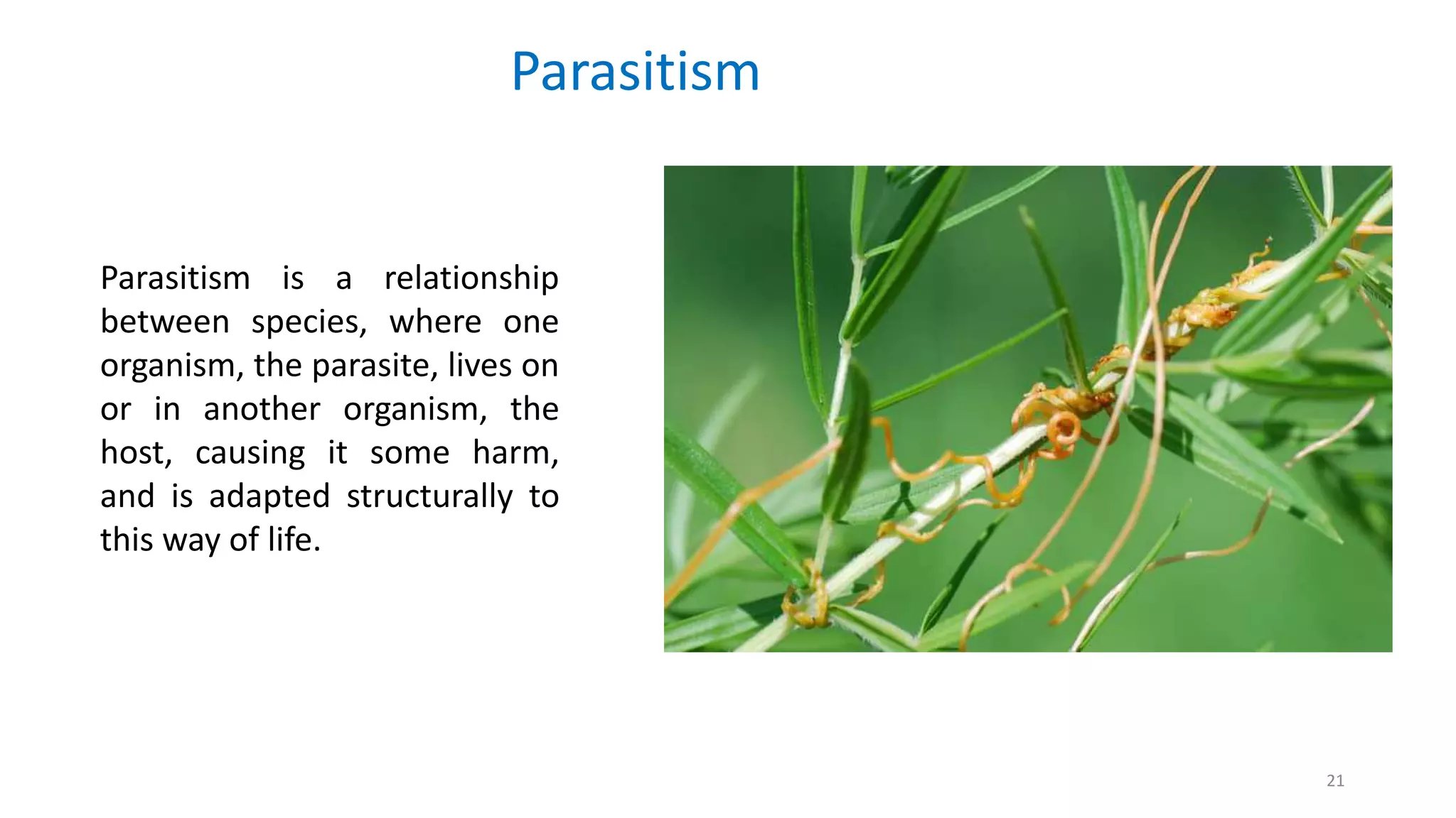 Environmental factors that affecting plant growth] | PPTX