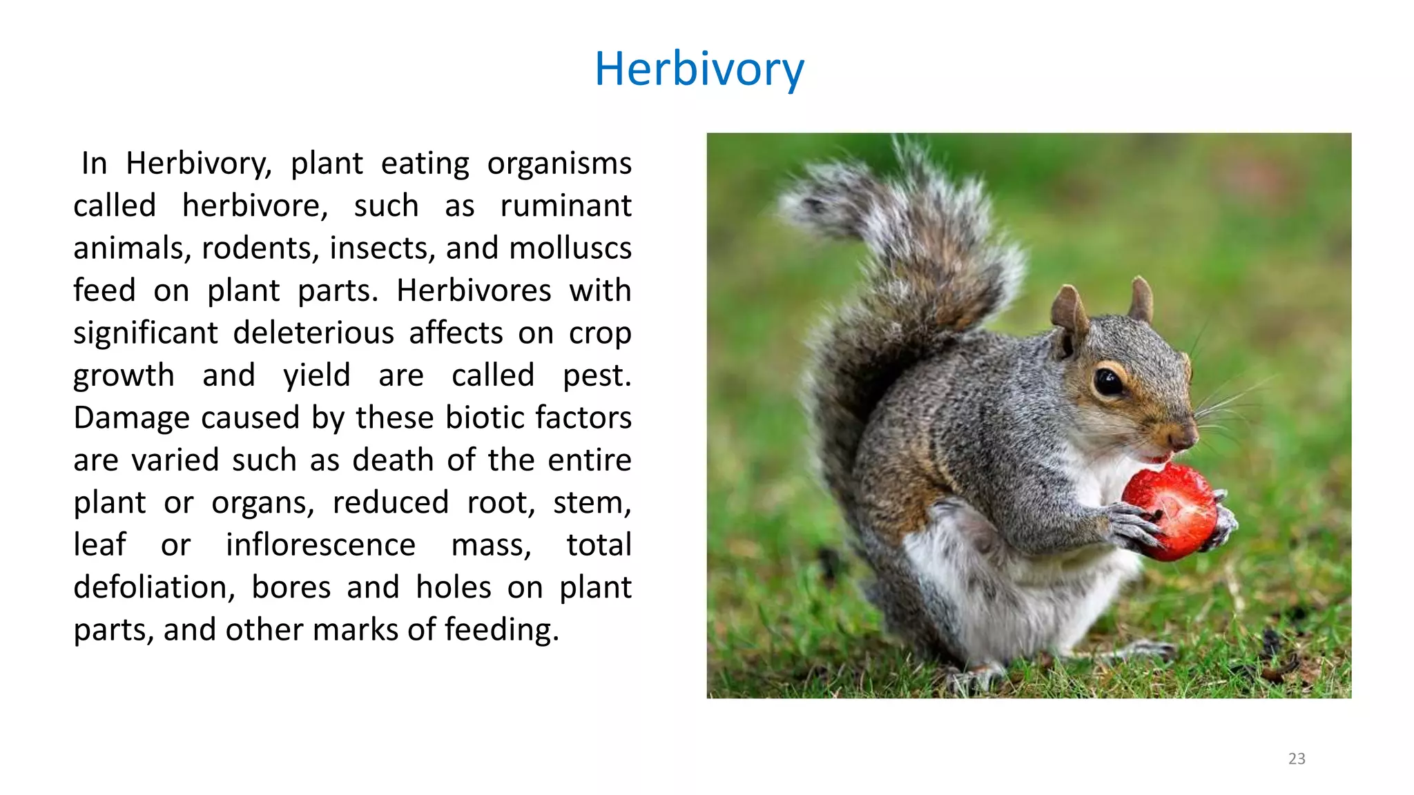 Environmental factors that affecting plant growth] | PPTX