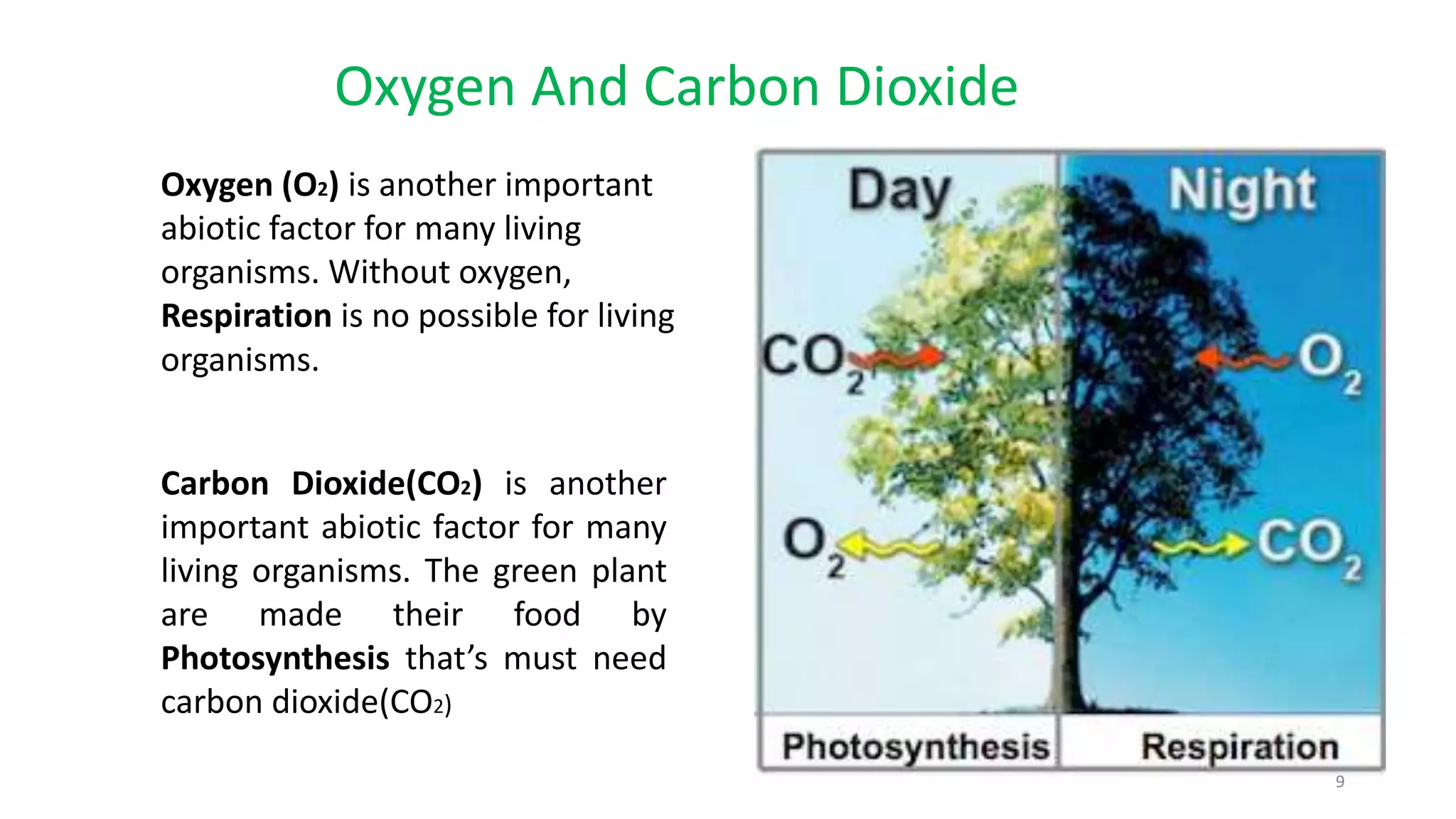 Environmental factors that affecting plant growth] | PPTX