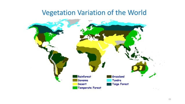 Environmental factors that affecting plant growth] | PPTX | Science
