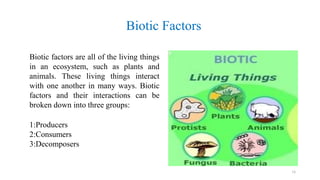 Environmental factors that affecting plant growth] | PPTX