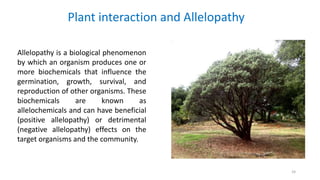 Environmental factors that affecting plant growth] | PPTX