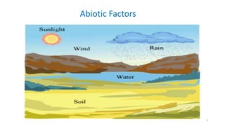 Environmental factors that affecting plant growth] | PPTX