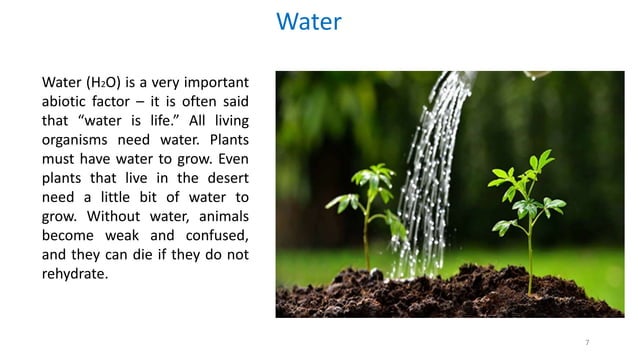 Environmental factors that affecting plant growth] | PPTX | Science