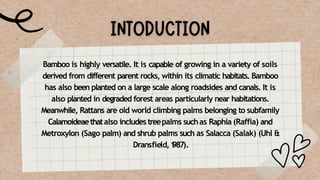 Bamboo and Rattan - NWFP Group Amelia.pdf