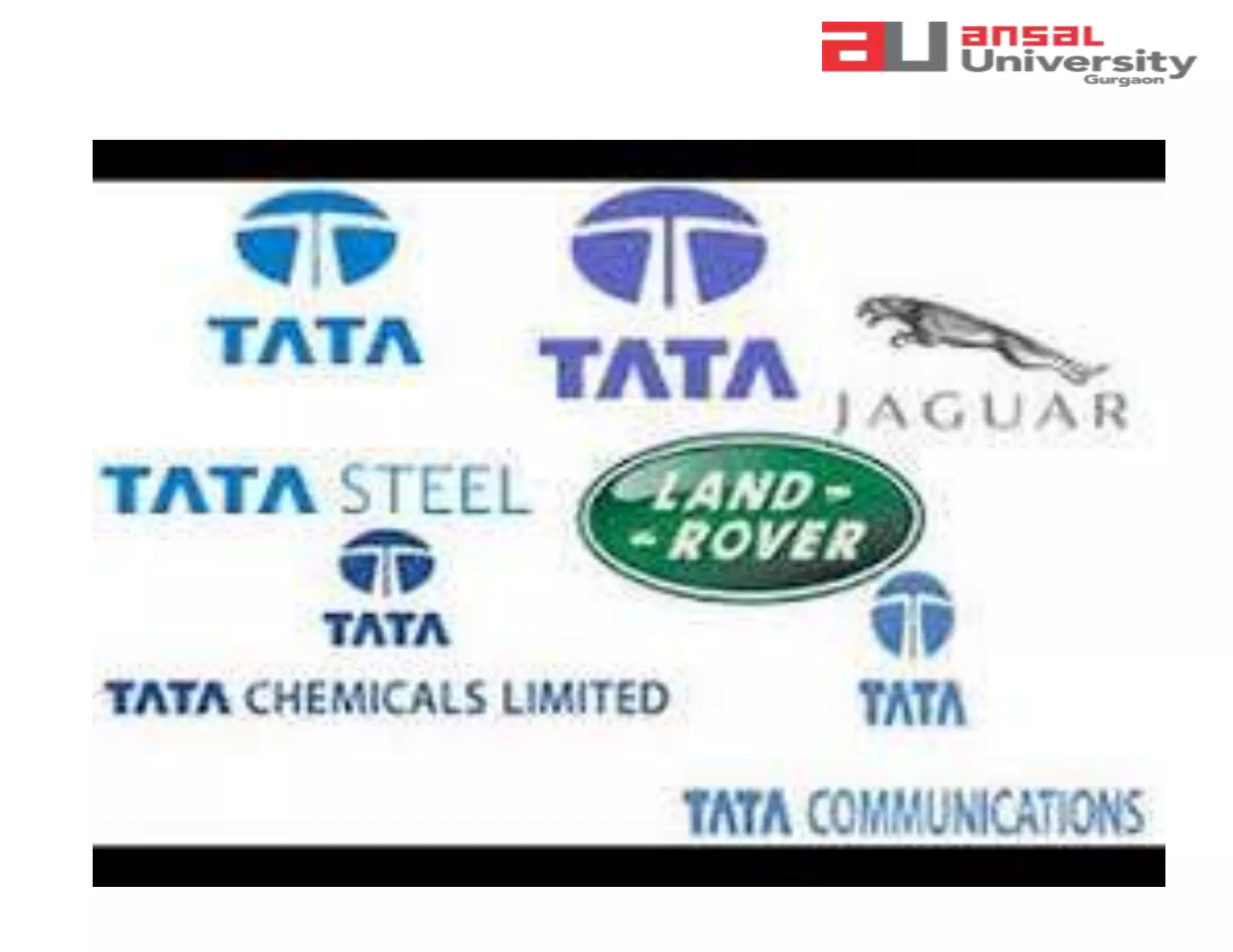 corporate social responsibility of tata group | PPT