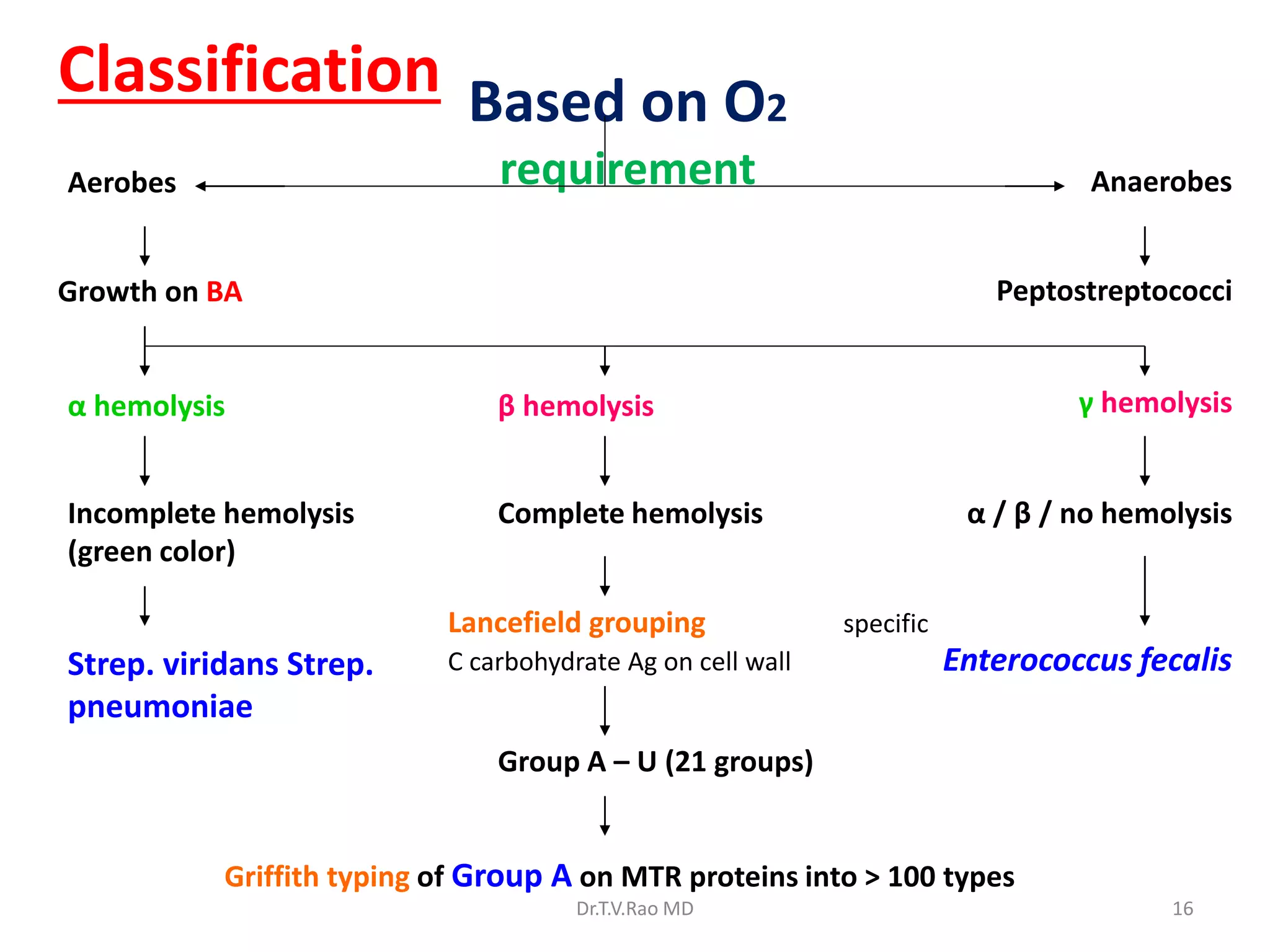 Group A Streptococcus.pptx