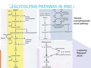 Glycolysis .pptx