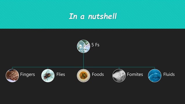 Indirect Transmission of diseases | PPTX | Infectious Diseases ...