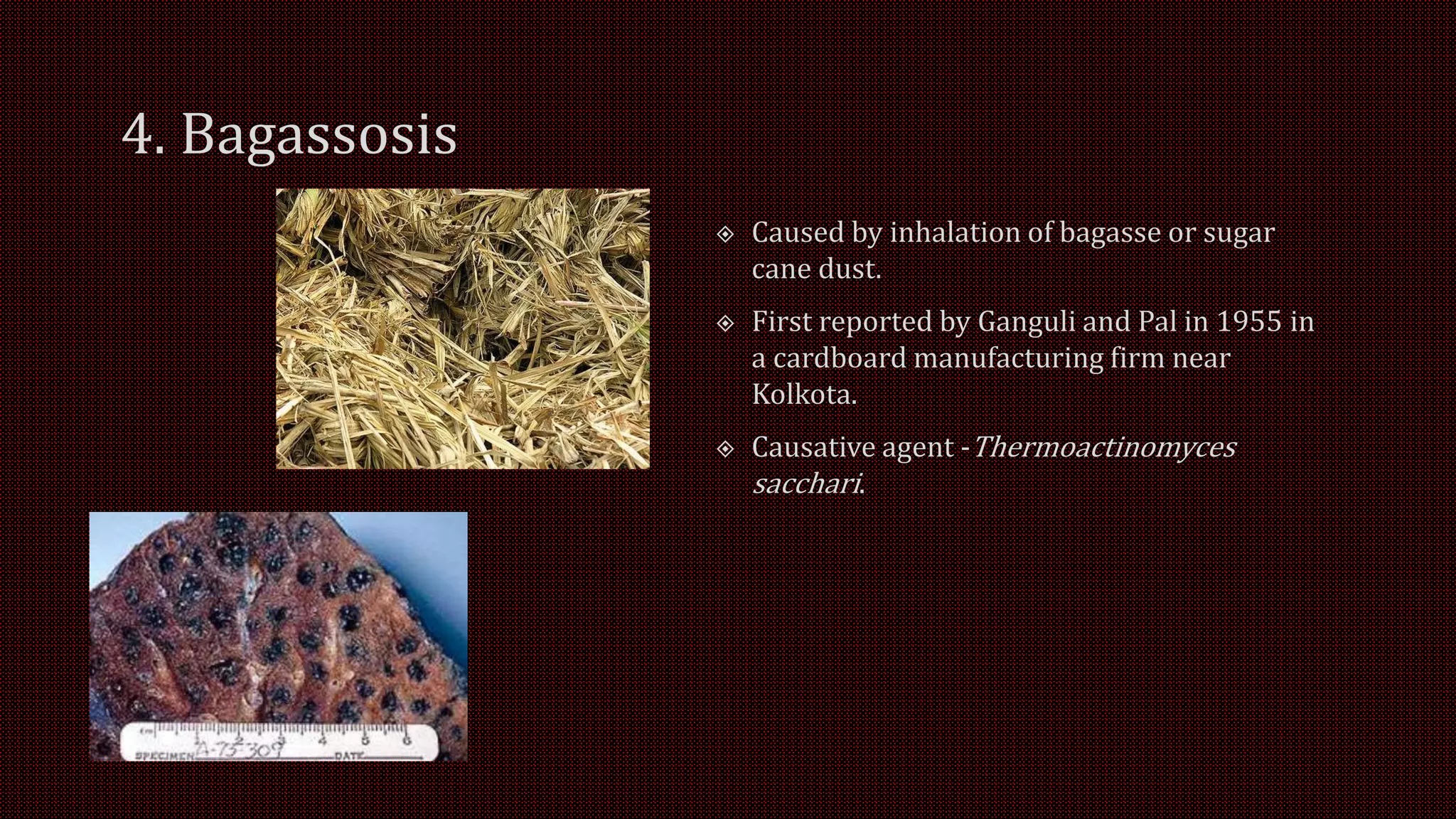 Occupational Diseases (Part 1) - Pneumoconioses | PPTX