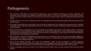 Occupational Diseases (Part 1) - Pneumoconioses | PPTX
