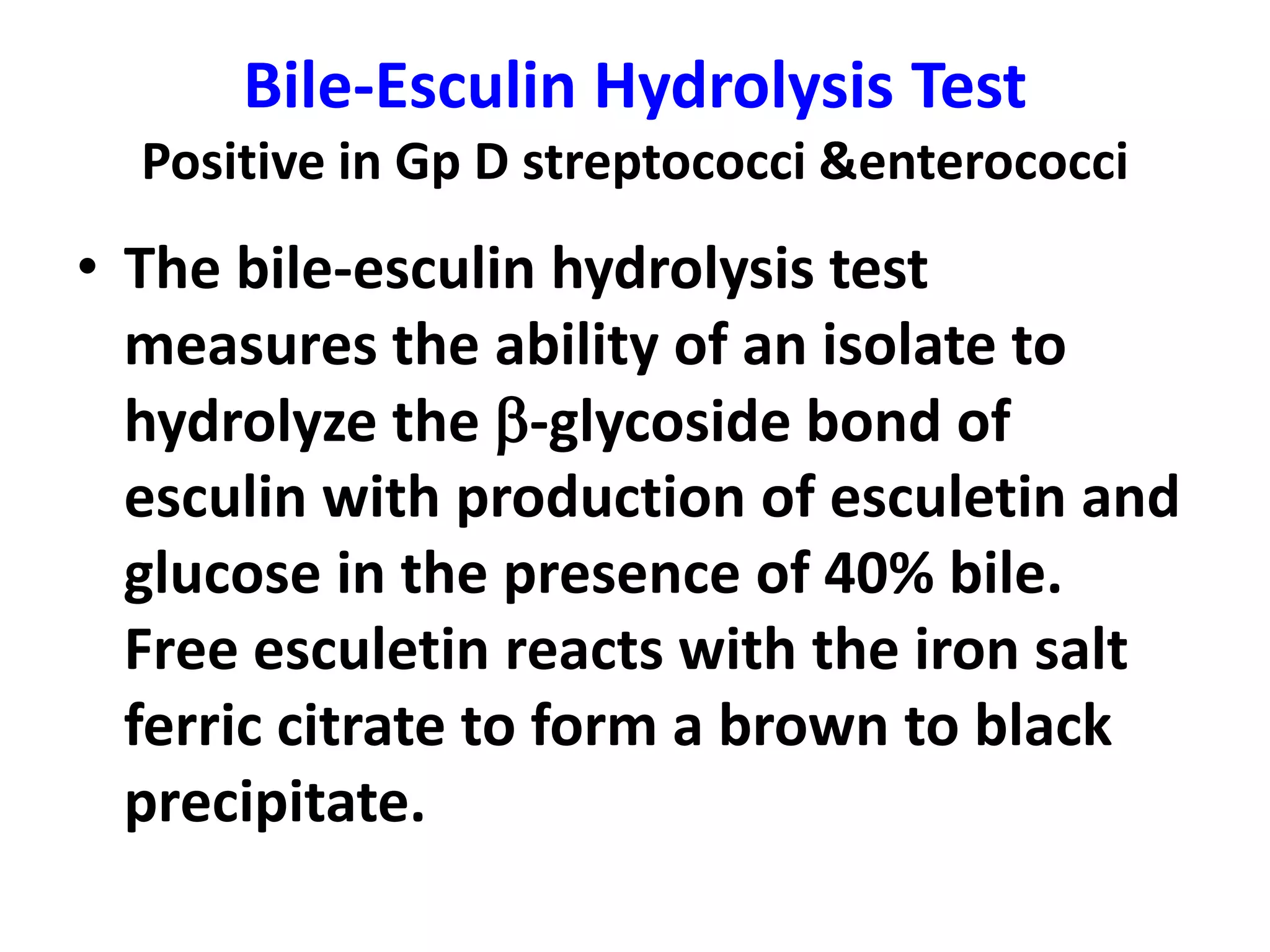 Group b& d streptococci | PPTX