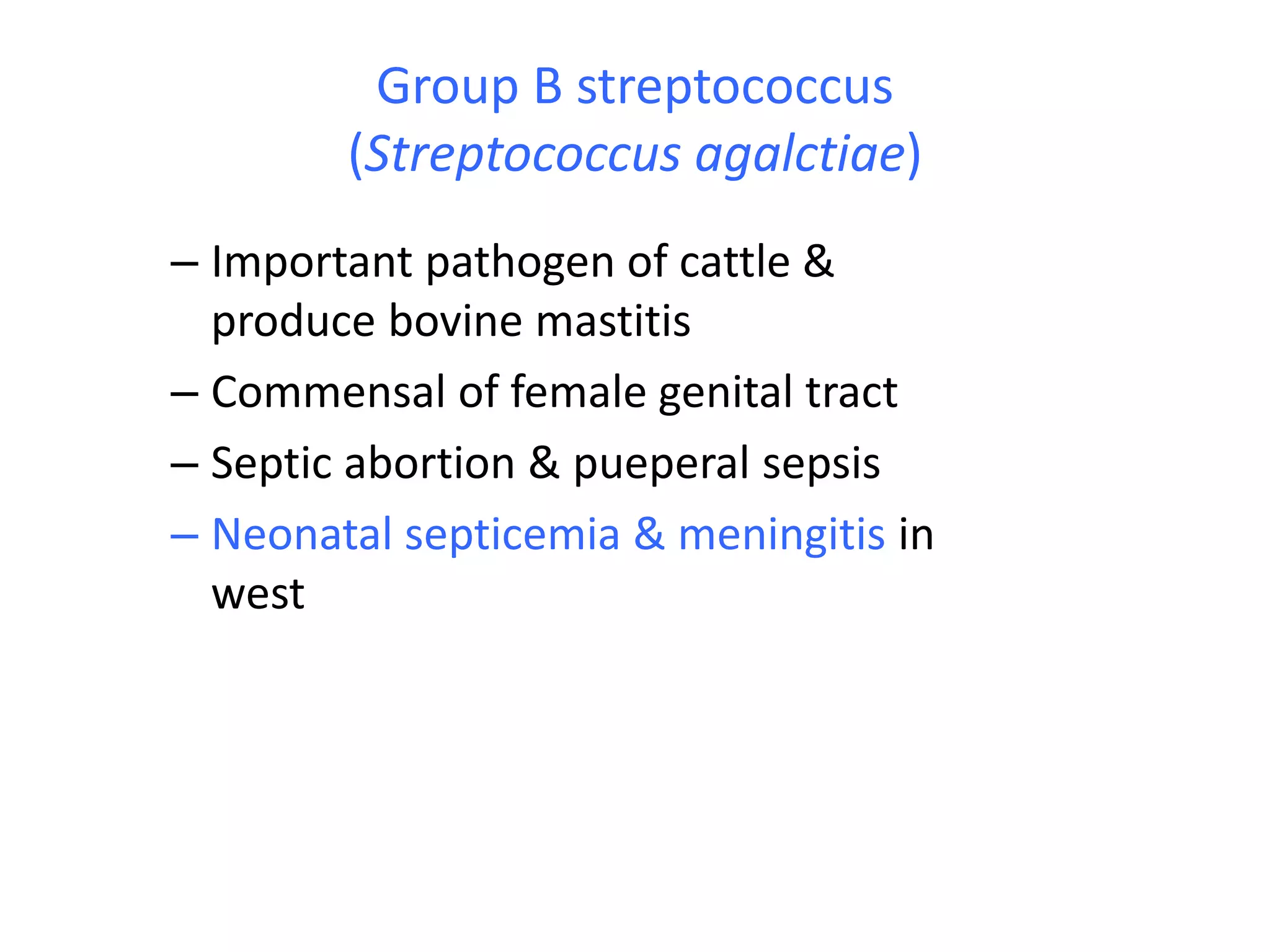 Group b& d streptococci | PPTX