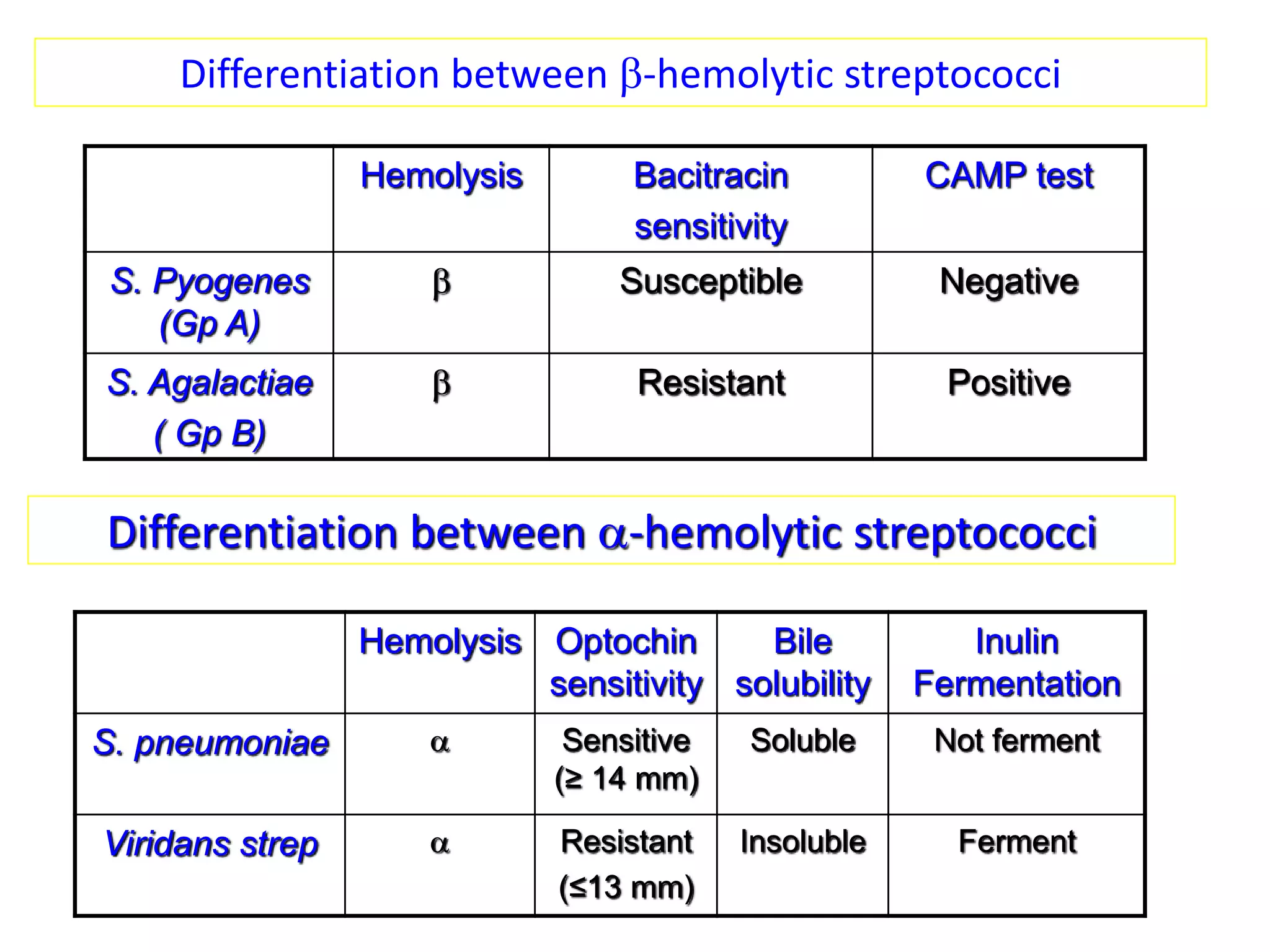 Group b& d streptococci | PPTX