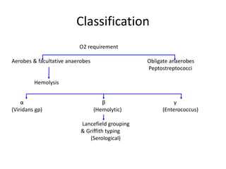 Group b& d streptococci | PPTX