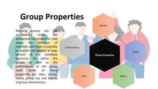 Group Behaviour.pptx
