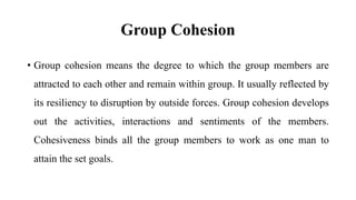 Introduction and overview of Group Behaviour | PPTX