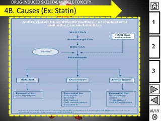 Drug-induced Toxicity [Liver, Kidney, Nervous System, Muscle] | PPTX