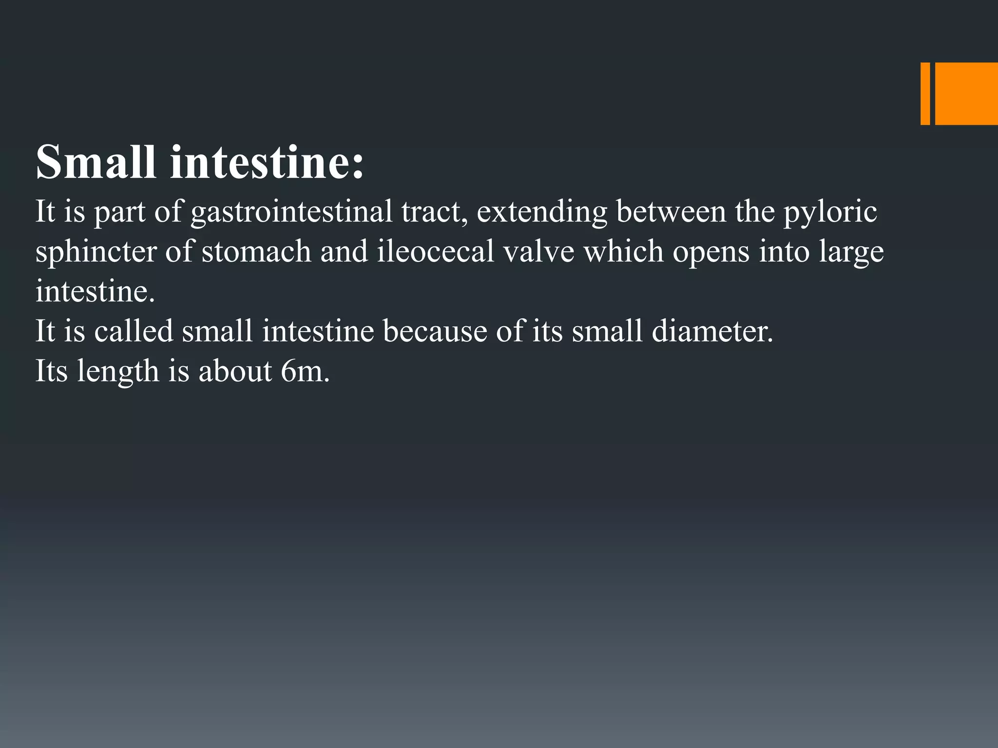 small and large intestine | PDF