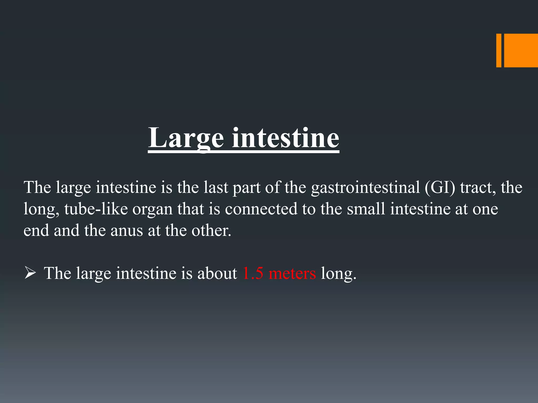 small and large intestine | PDF