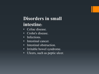 small and large intestine | PDF