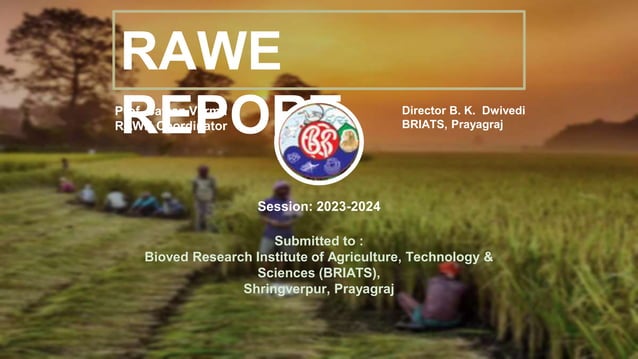 Group_B_RAWE_report for presentation in college ande university (2).pptx