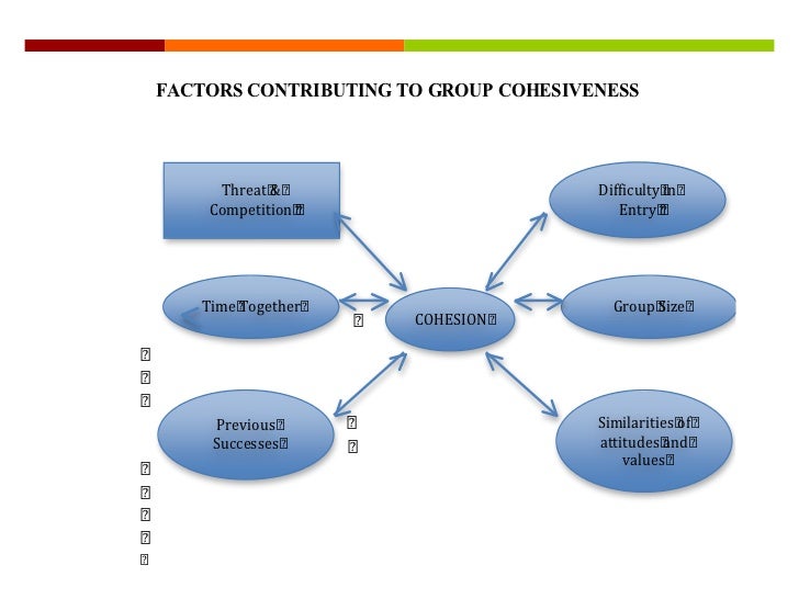 Group cohesion