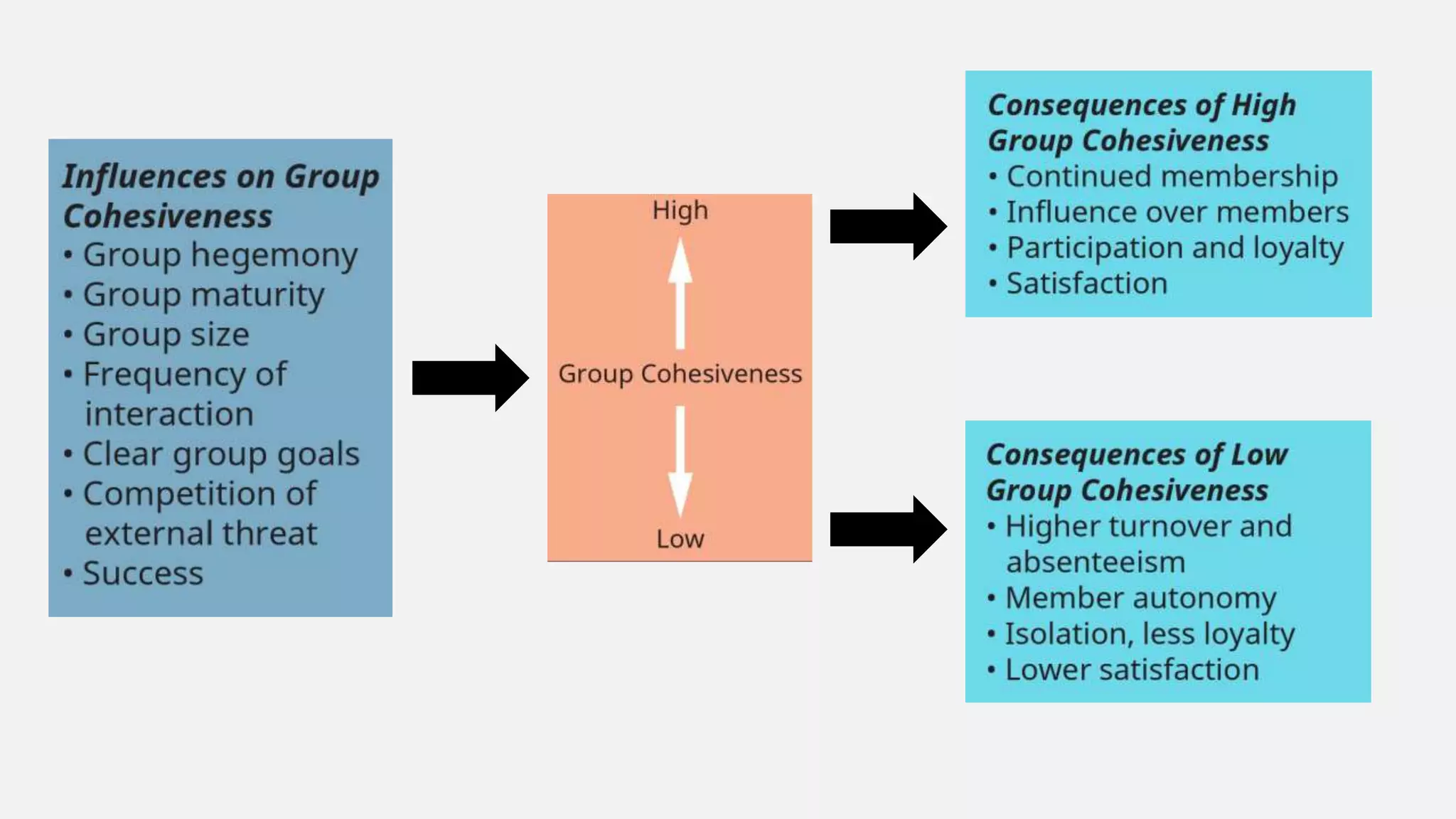 GROUP COHESIVENESS | PPTX