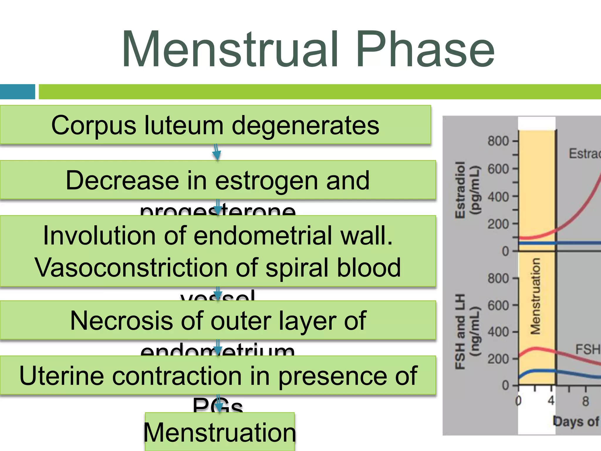 Menstrual Cycle | Hormonal Regulation | PPTX