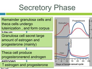 Menstrual Cycle | Hormonal Regulation | PPTX