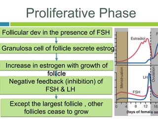 Menstrual Cycle | Hormonal Regulation | PPTX
